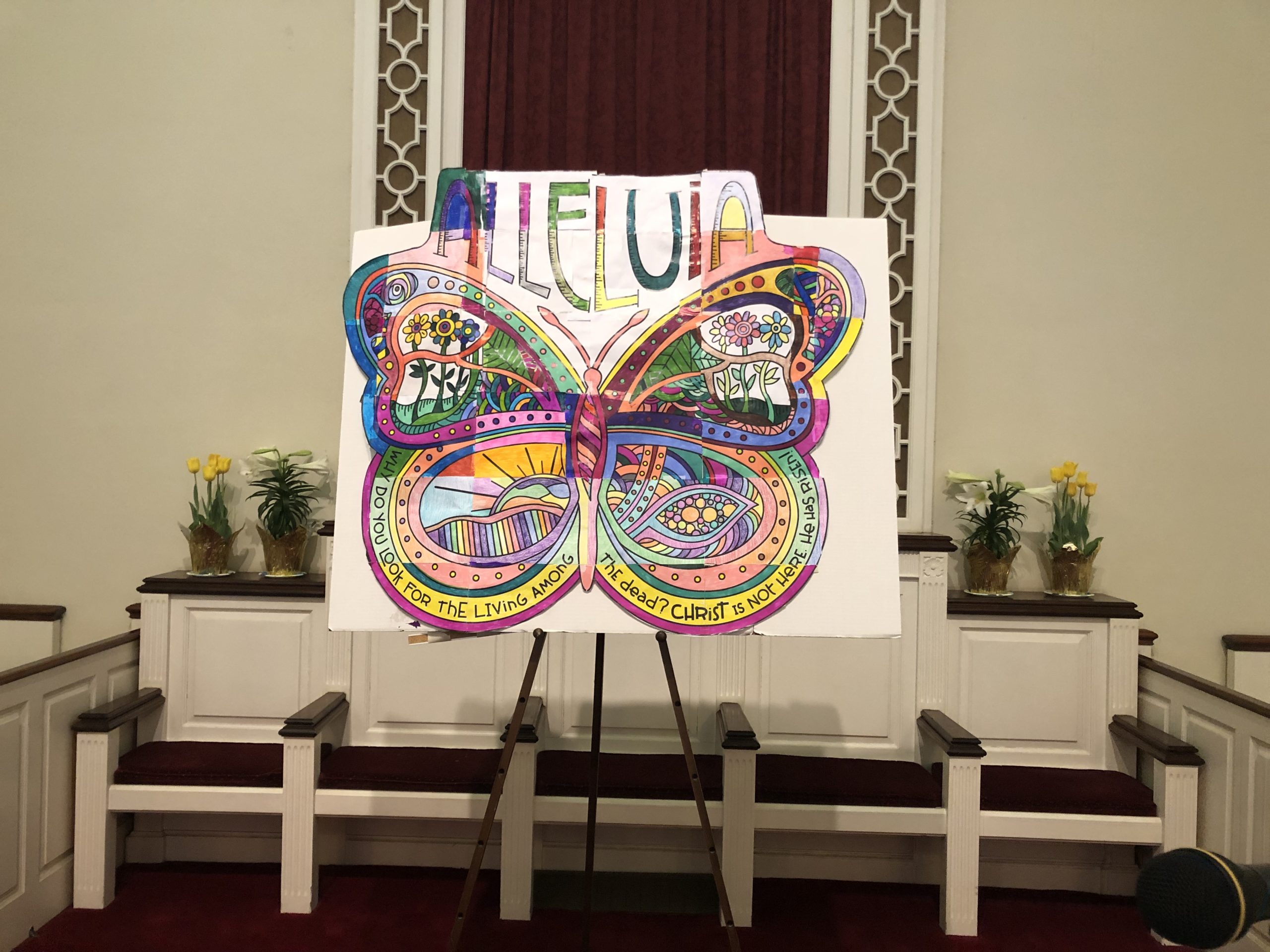 Home - Tree of Life Church